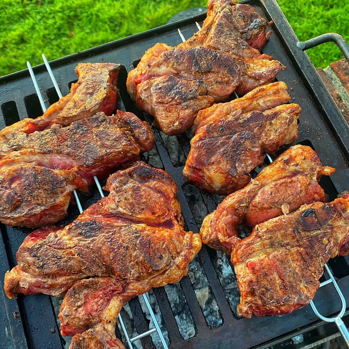 Campfire Base Camp Expert Grill