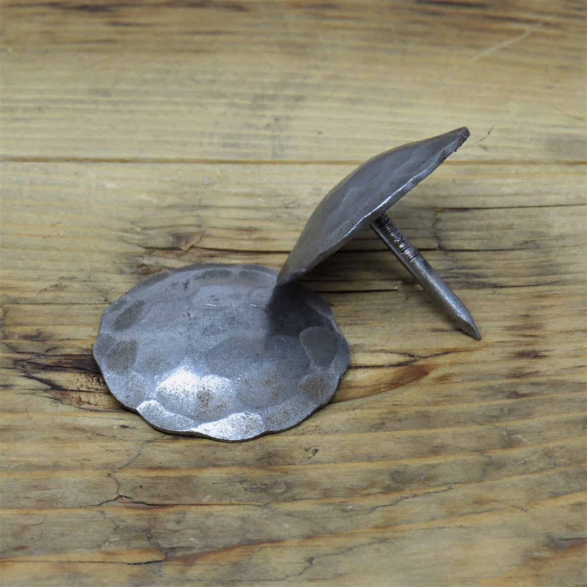 Ping Hammered Dome Nail Head / Decorative Clavos